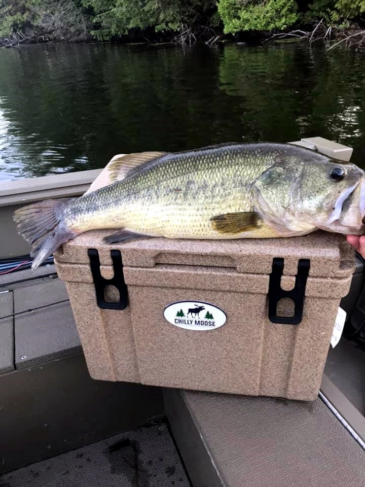 How Durable Are Chilly Moose Coolers? Lets Find Out – chillymoose.ca