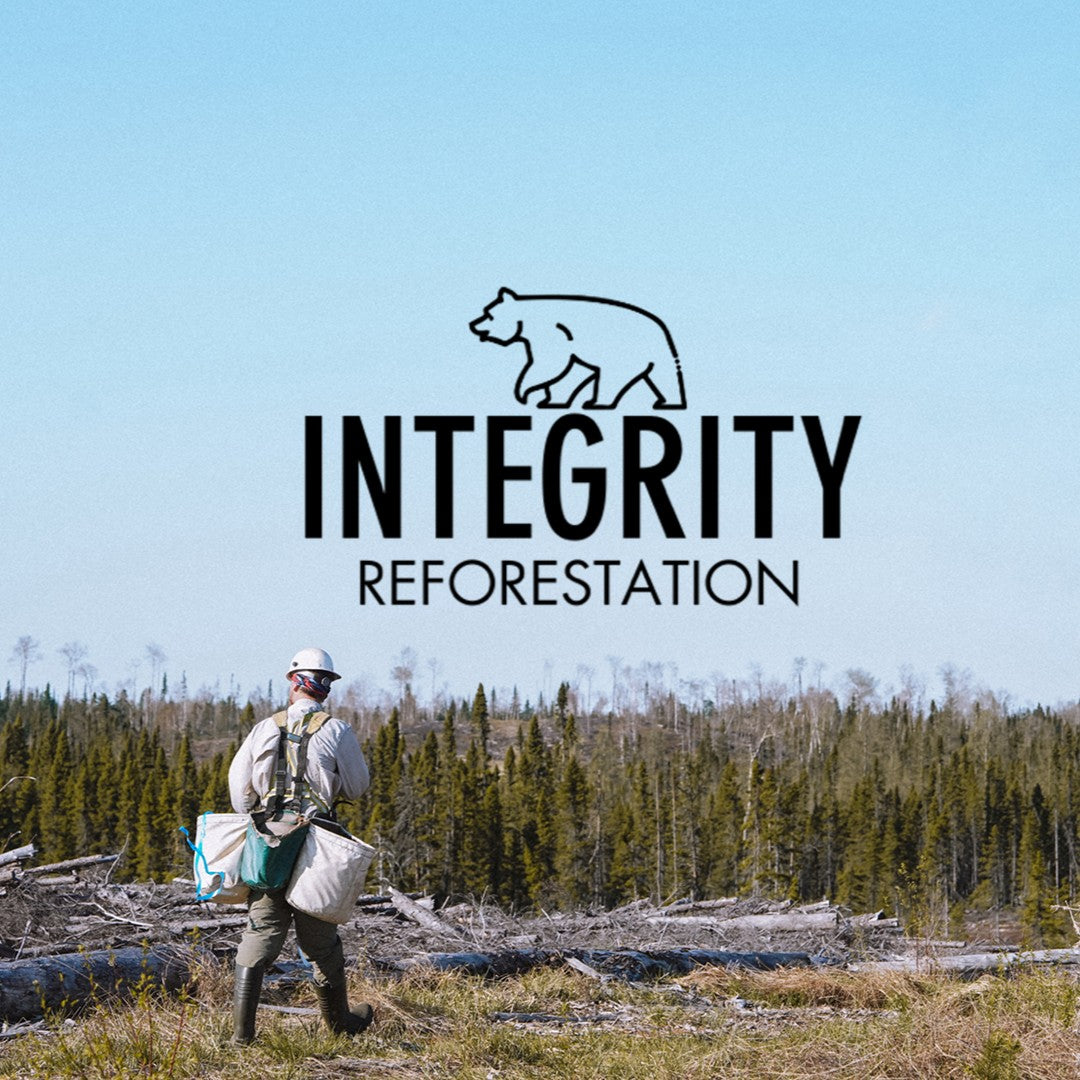 PLANT A TREE WITH CHILLY MOOSE – chillymoose.ca